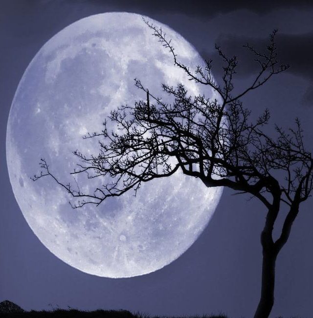 Moonrise Time Today In Delhi Live 2024 MoonriseToday Moonrise Time Today In Delhi Live 2024 MoonriseToday
